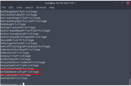 ICE-Tryhackme Machine - Argibeltza.io